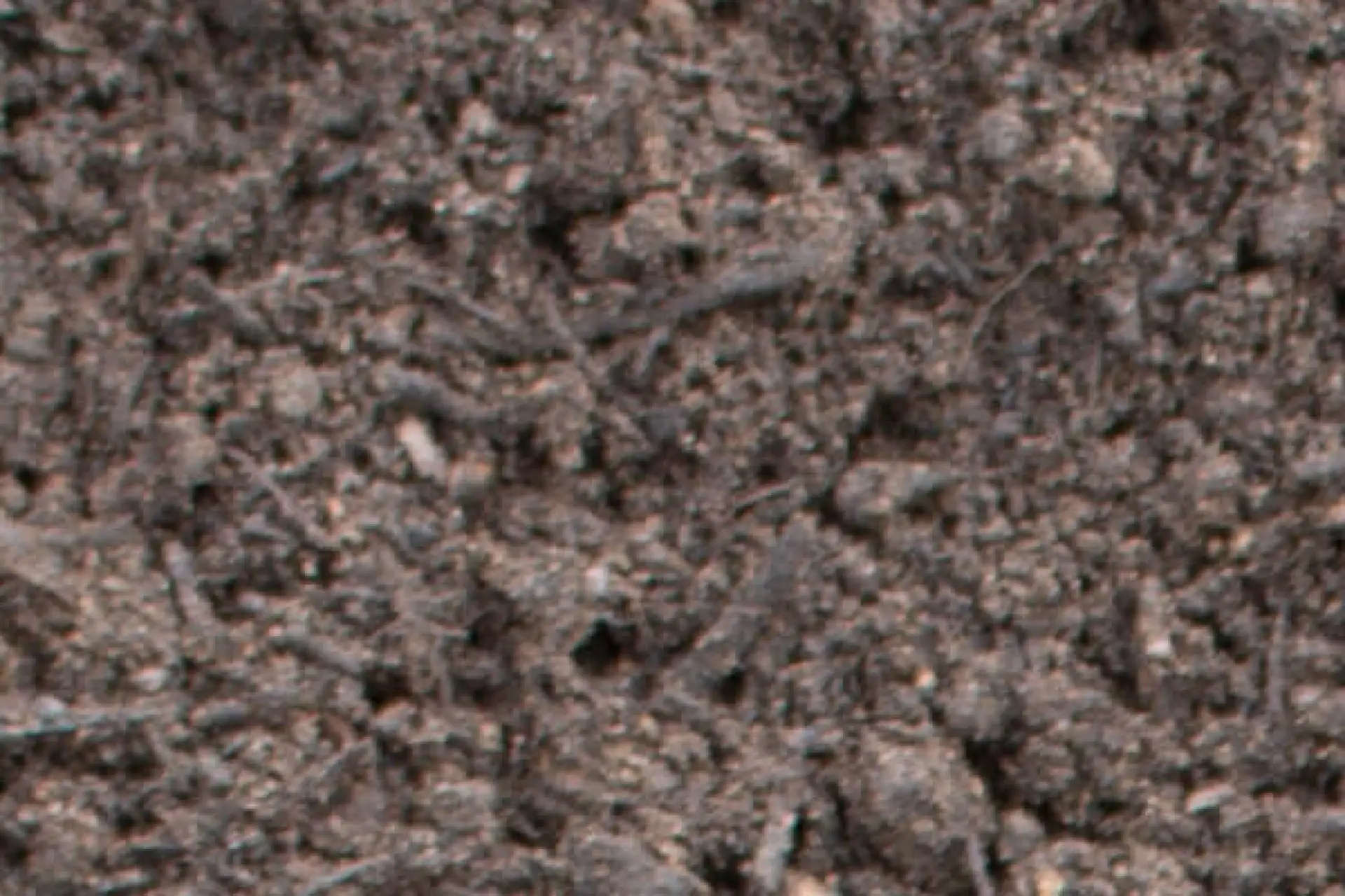 Dienstleistungen / Humuswerk Otto - Lieferservice, Containerservice ...